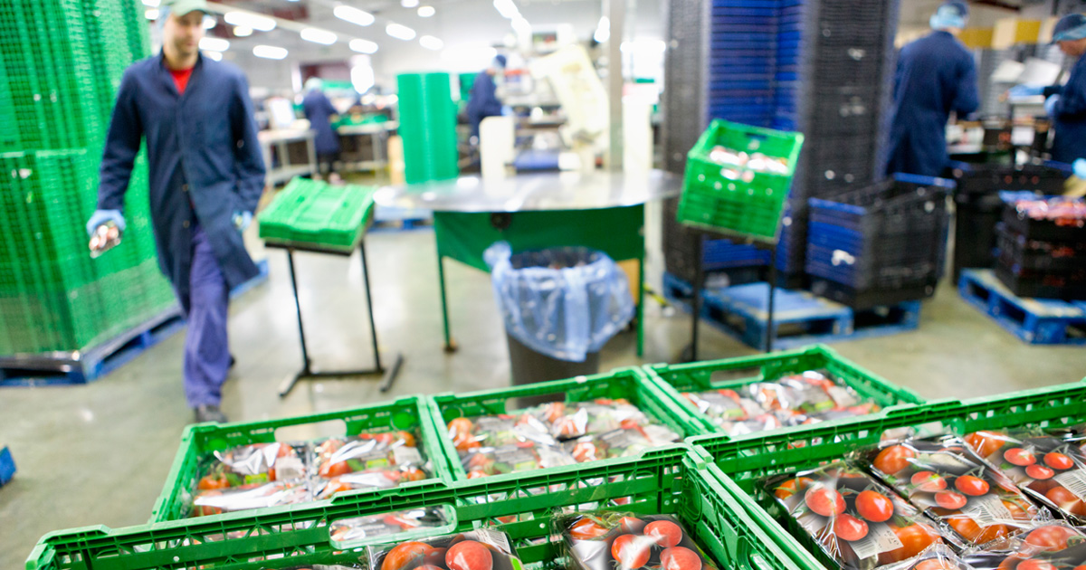 Paid Program: Delivering Temperature-Sensitive Foods: Focus on Packaging